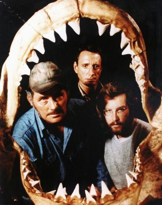 Jaws Debuted 42 Years Ago Today | The Haunted Librarian